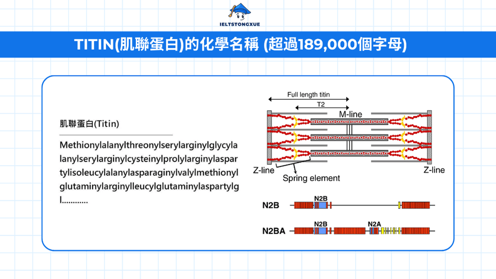 揭密世界上最長的英文單字：起源、意義與使用場景